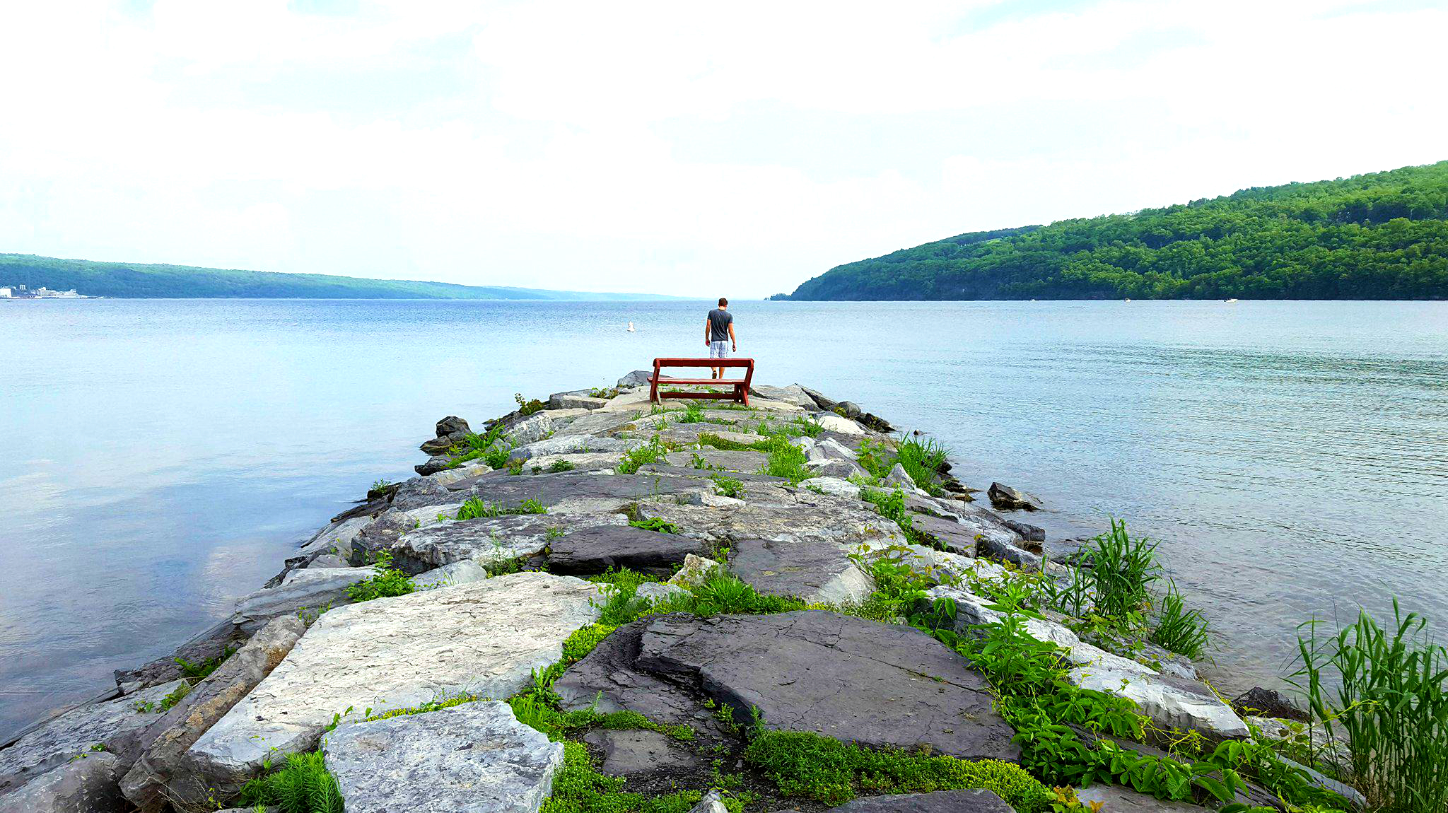 ToTravelandBloom: Top 4 Things To Do at the Finger Lakes