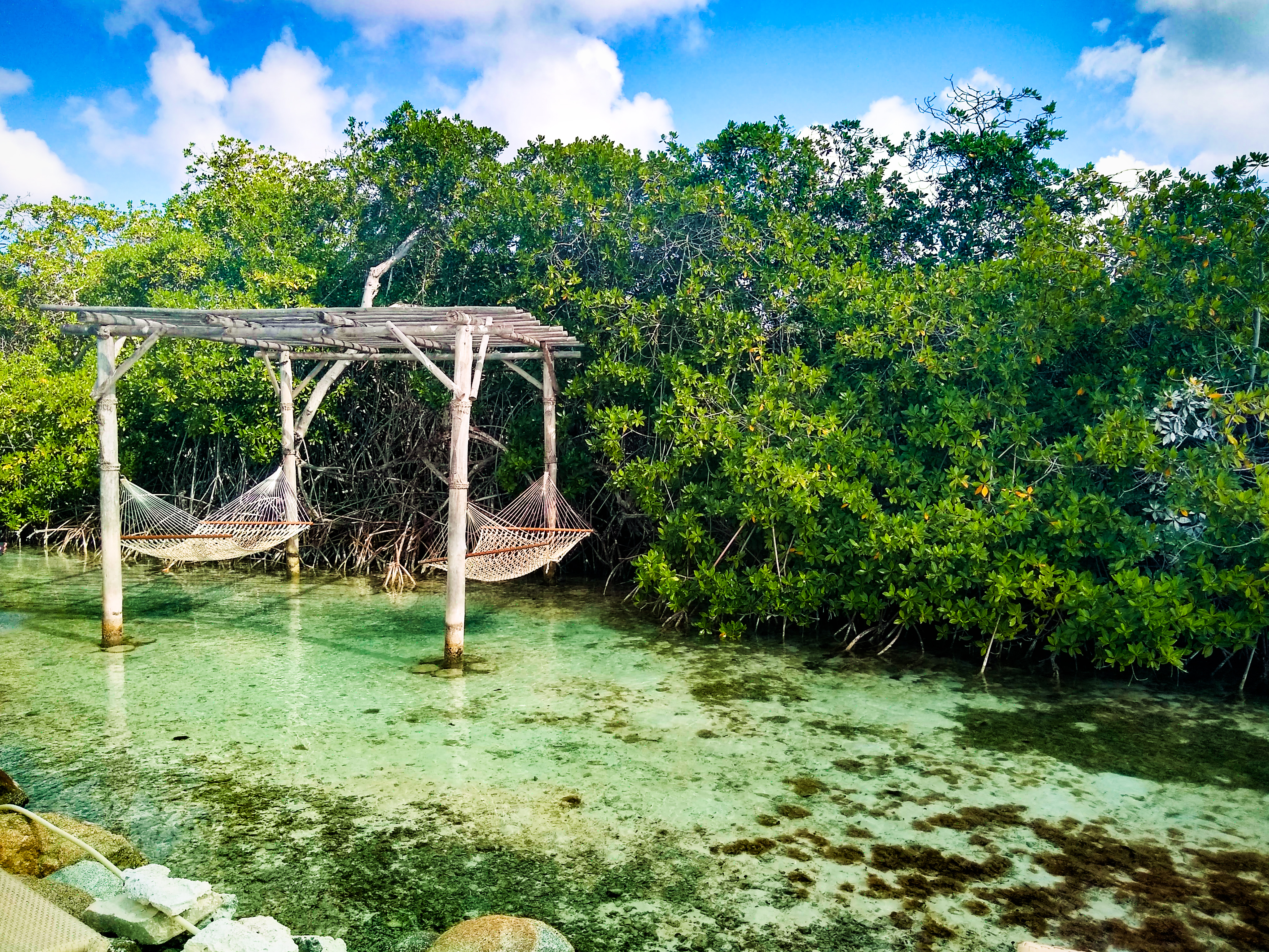 Aruba's Private Renaissance Island: Flamingo Beach