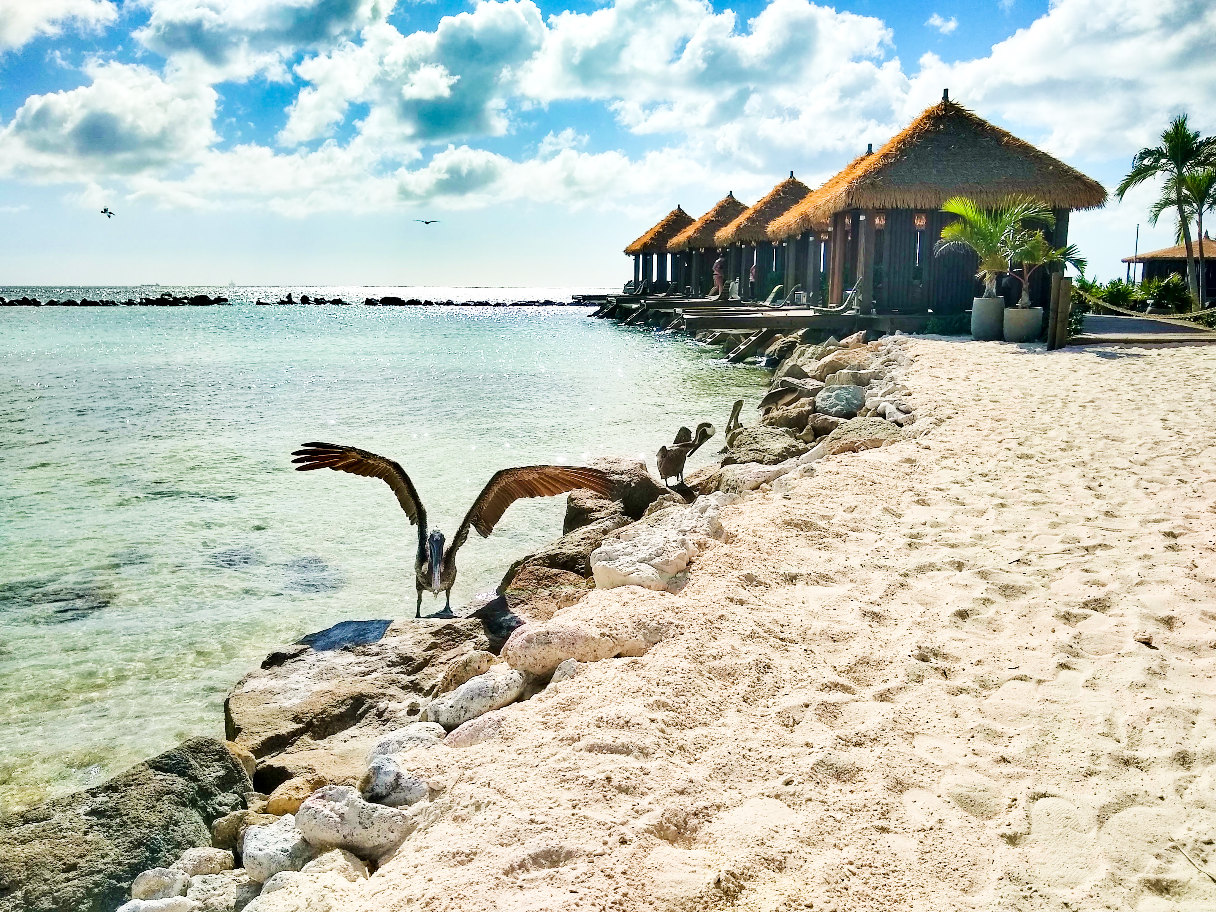 Aruba's Private Renaissance Island: Flamingo Beach