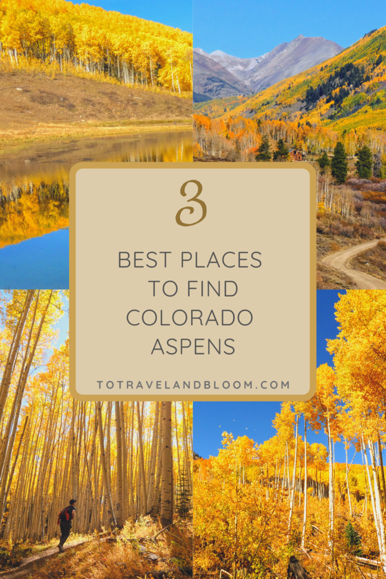 3 Best Places for Fall Colors in Crested Butte, Colorado
